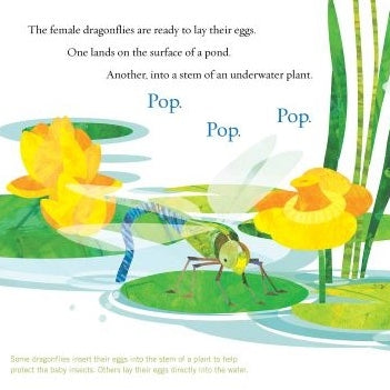 Soar High, Dragonfly! By Sheri Mabry Bestor – Simply Devine Gifts and Decor